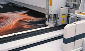 Prosatz: Full-Service-Anbieter - display Magazin