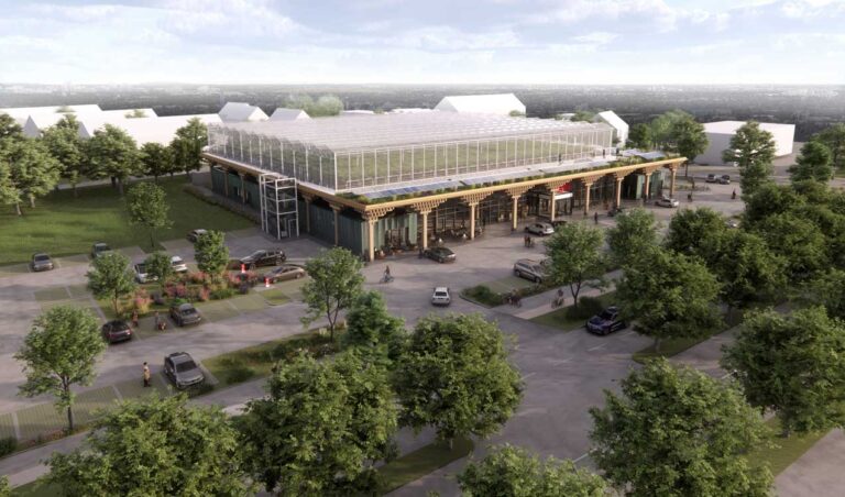 Zweite Rewe-Farm im Bau - display Magazin